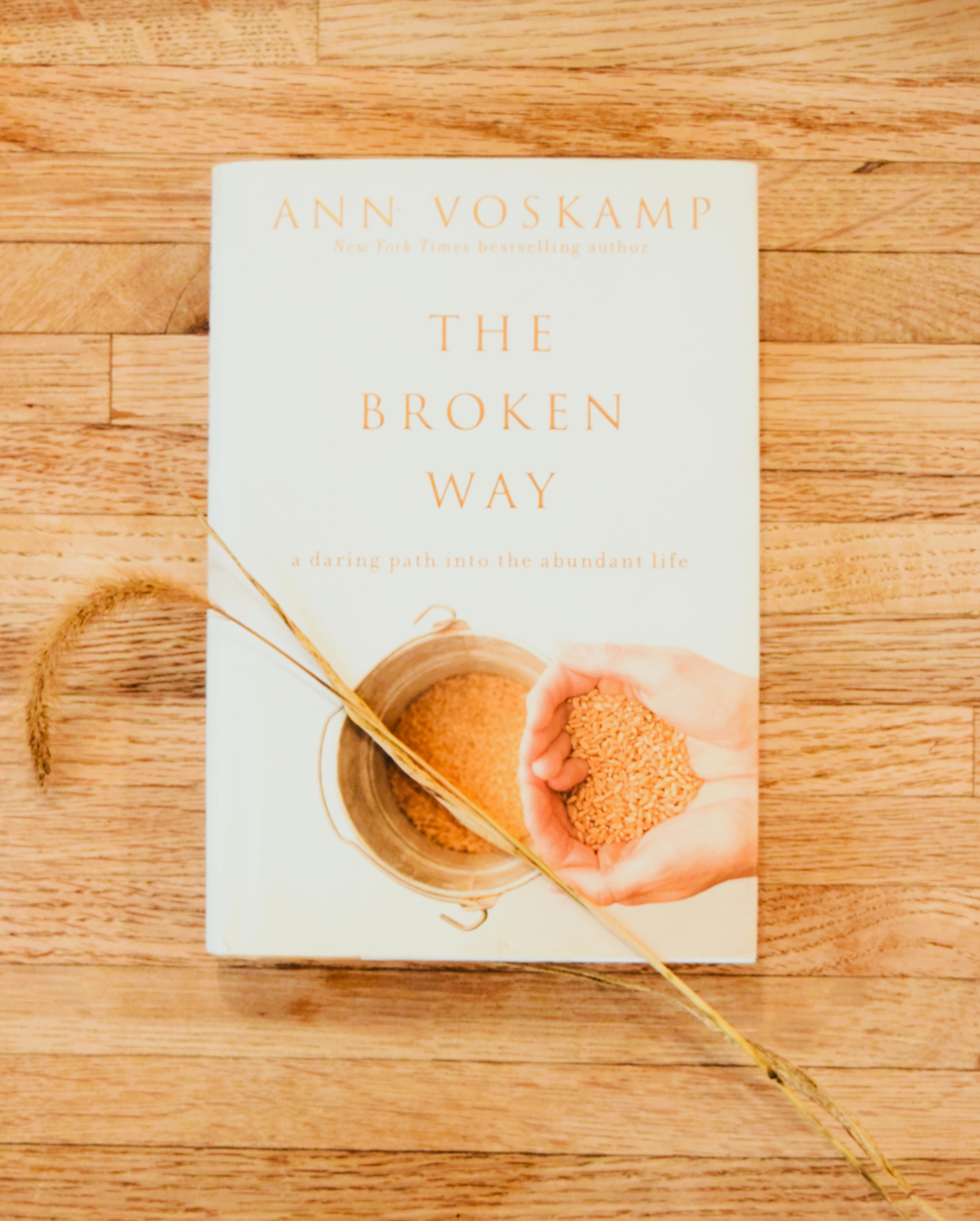 The Broken Way Book Review